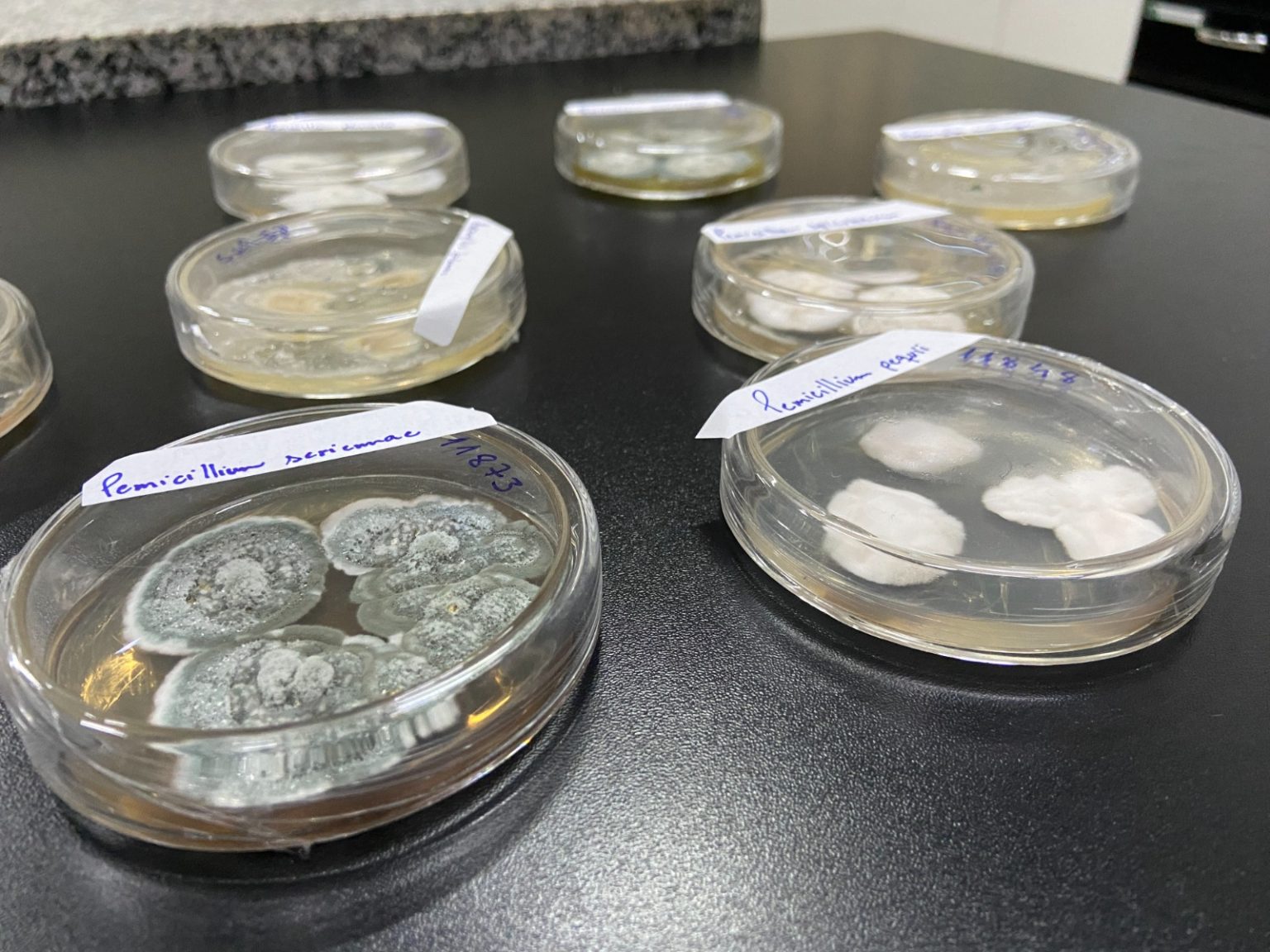Laboratório da UFLA é o único de MG com certificação internacional de ...